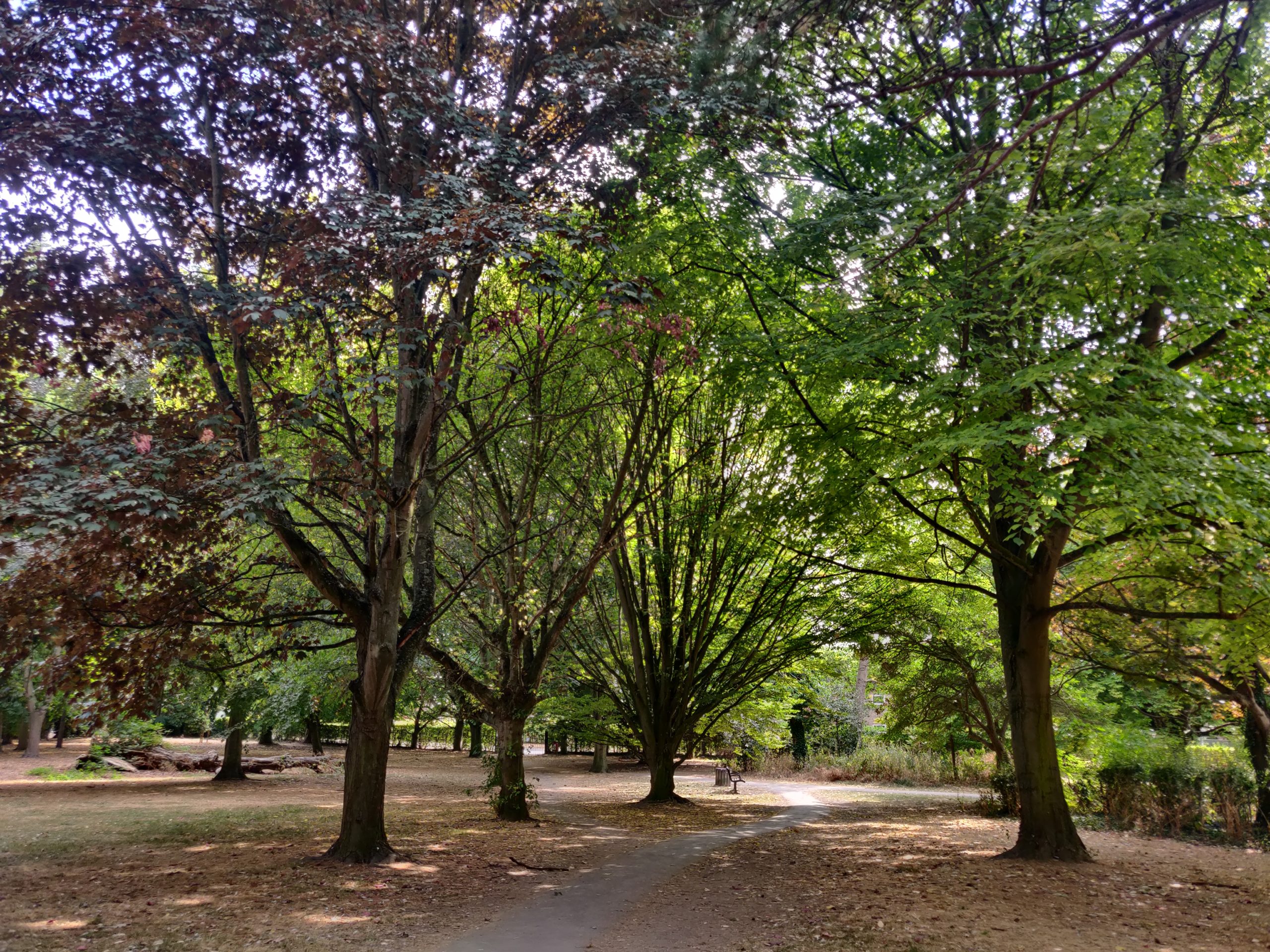 How Are You Cambridge? | Cherry Hinton Hall Park