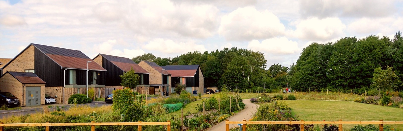 How Are You Cambridge? | Clay Farm Community Garden